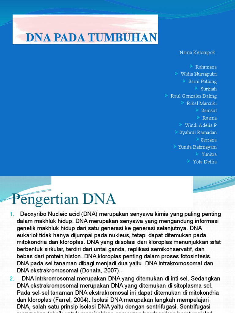 Dna Pada Tumbuhan | PDF