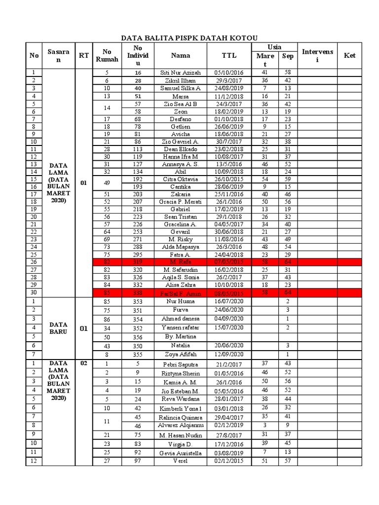 PISPK Data Balita, Hipertensi, Bumil | PDF