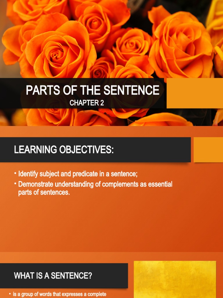 Parts of The Sentence | PDF | Object (Grammar) | Subject (Grammar)