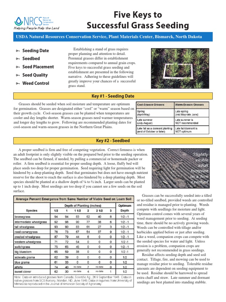 Five Keys To Successful Grass Seeding: Seeding Date Seedbed Seed ...