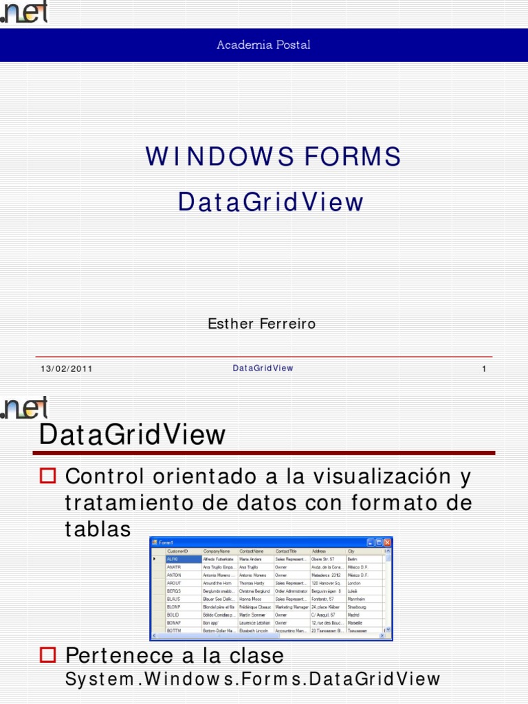 9.-DataGridView Presentacion | PDF | Informática | Software