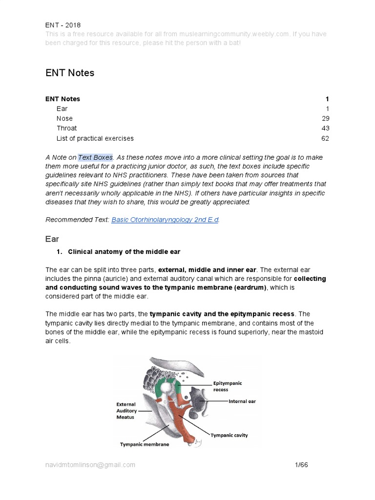 ENT Notes PDF | PDF | Ear | Vestibular System