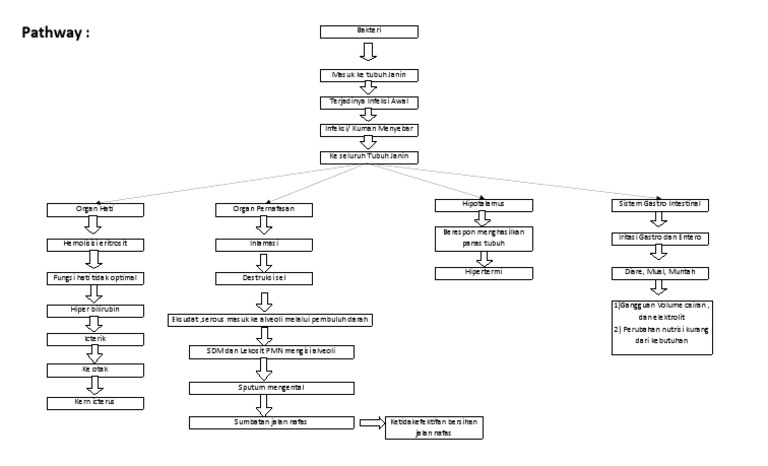 Pathway Sepsis | PDF