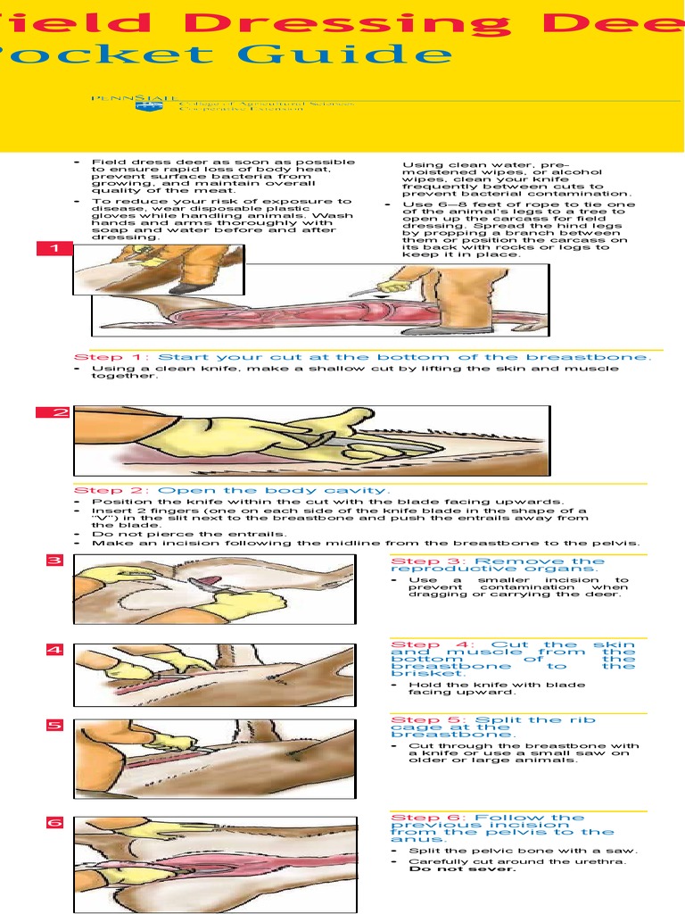 Field Dressing Pocket Guide | PDF | Knife | Gastrointestinal Tract
