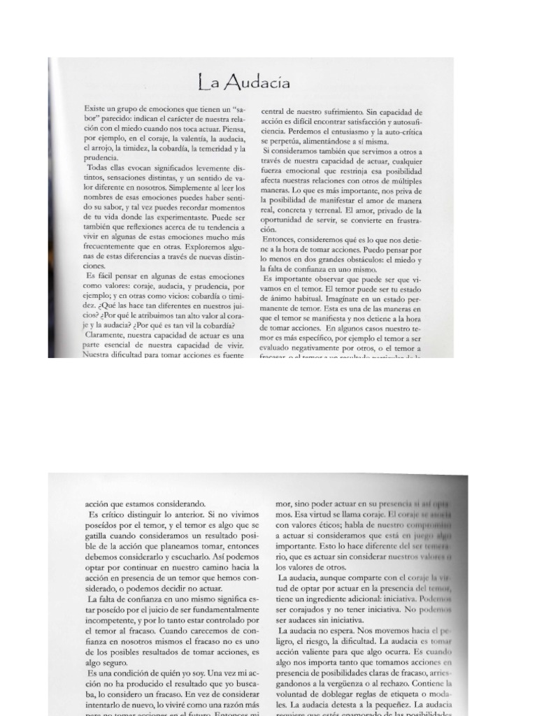 La Audacia | PDF