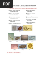 Ficha Técnica Quantrel | PDF | Medicamentos con receta | El embarazo