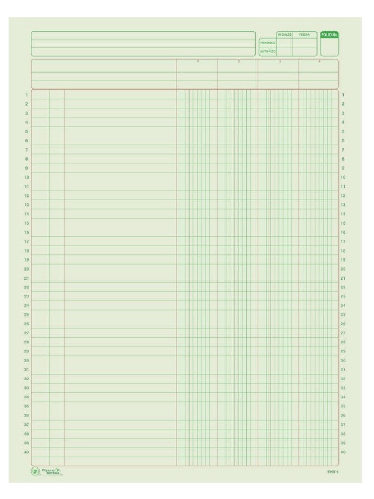 Balance General en Forma de Reporte Formato | PDF