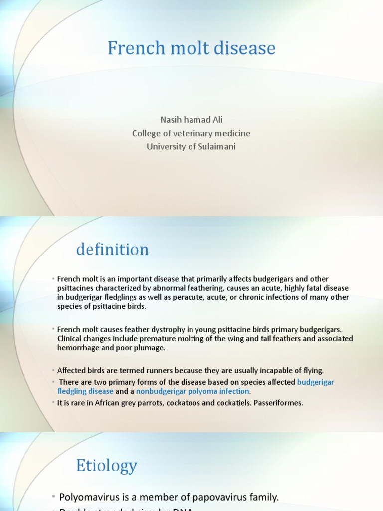 French Molt Disease: Nasih Hamad Ali College of Veterinary Medicine ...