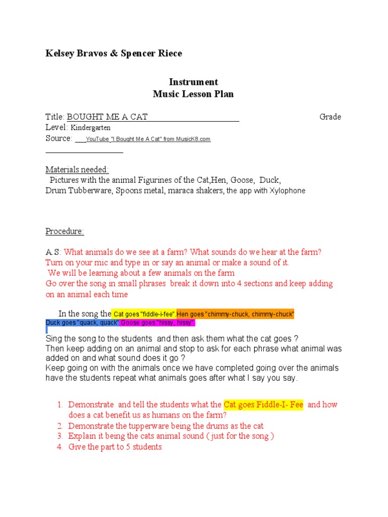 Bought Me A Cat - Instrument Lesson Plan | PDF