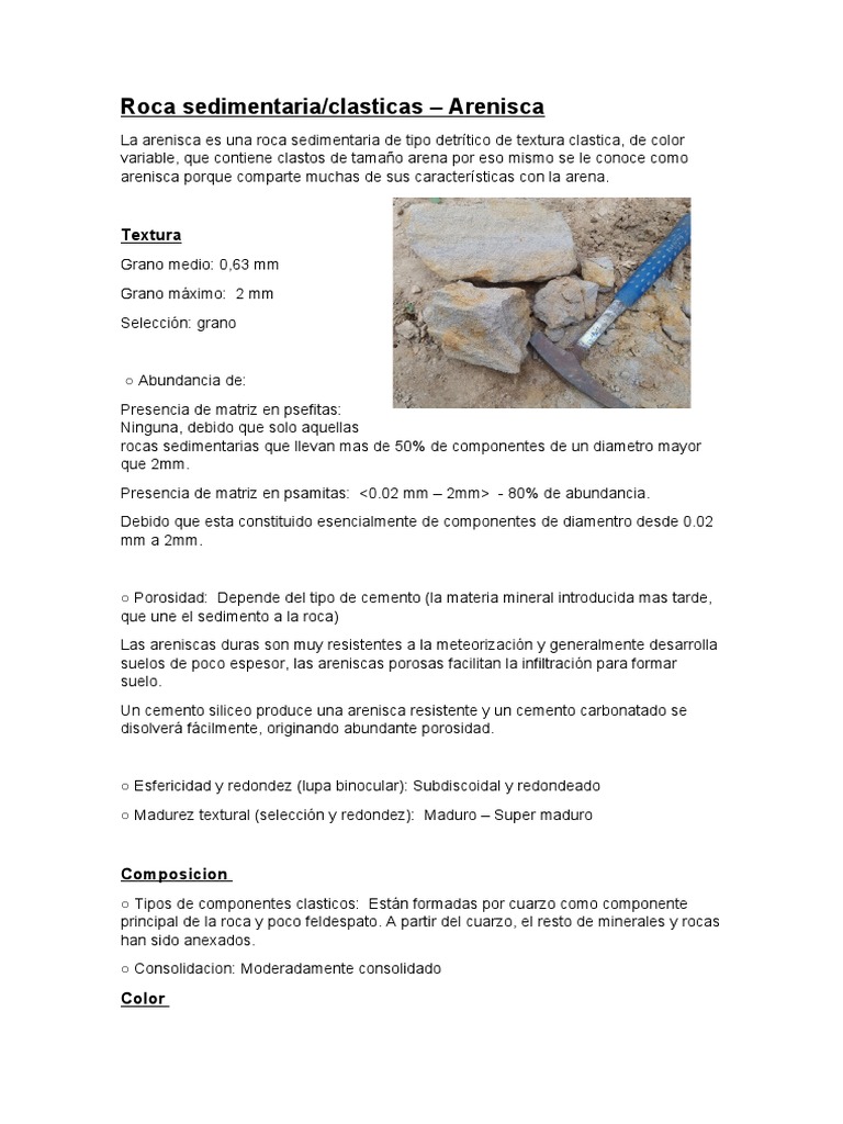 Hoja De Trabajo Sobre Rocas Sedimentarias