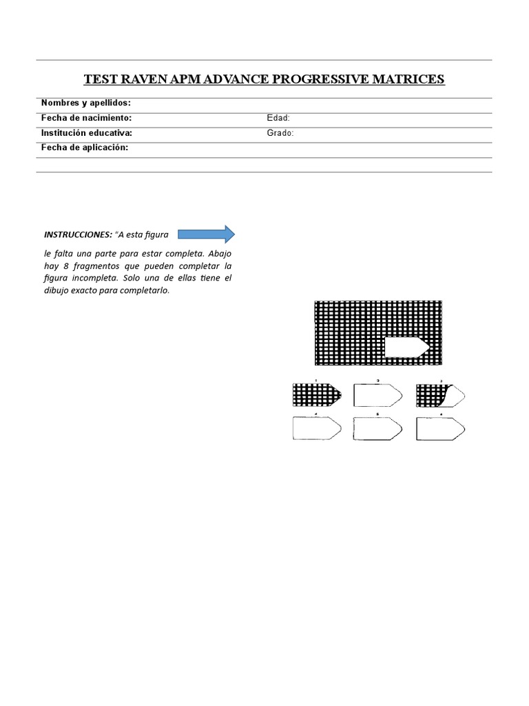 Raven Apm Advance Progressive Matrices | PDF