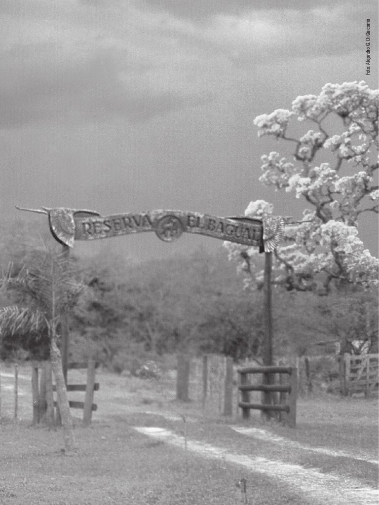 LA RESERVA EL BAGUAL Ubicación, Historia, Manejo e Importancia | PDF ...