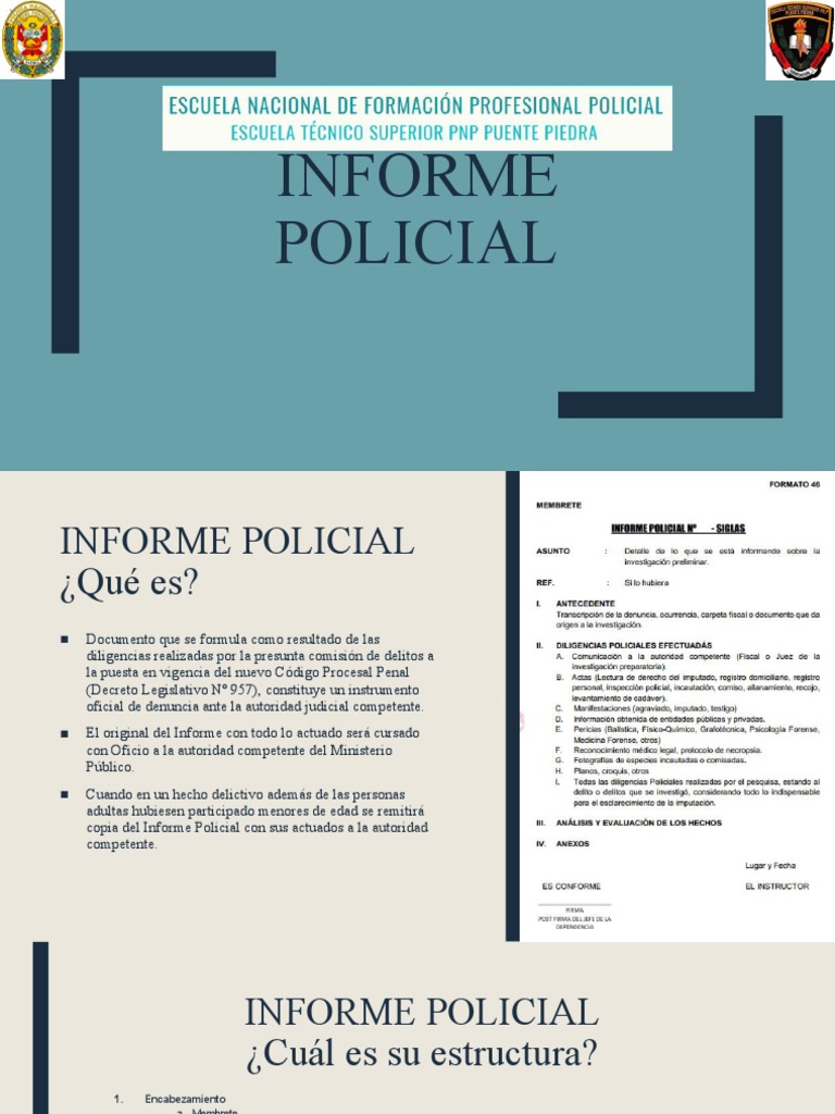 Documentación Policial 9 | PDF | Policía | Derecho penal