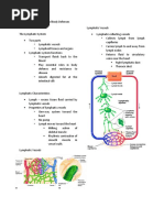 Lymphatic System Overview and Functions | PDF | Lymph | Lymphatic System