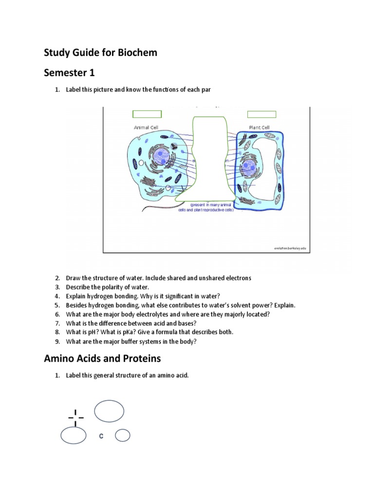 Study Guide For Biochem Semester 1 | PDF | Enzyme | Enzyme Inhibitor