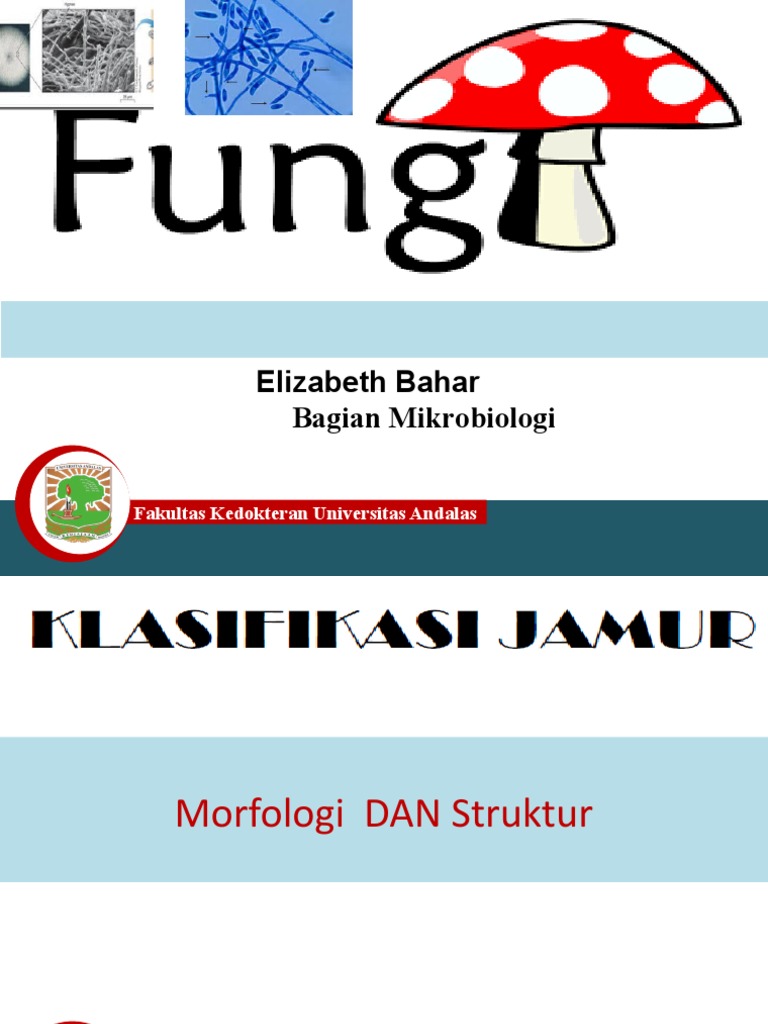 1.6.2.3 Klasifikasi, Morfologi Dan Struktur Jamur | PDF