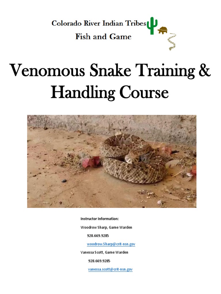 Venomous Snake Training | PDF | Rattlesnake | Venom