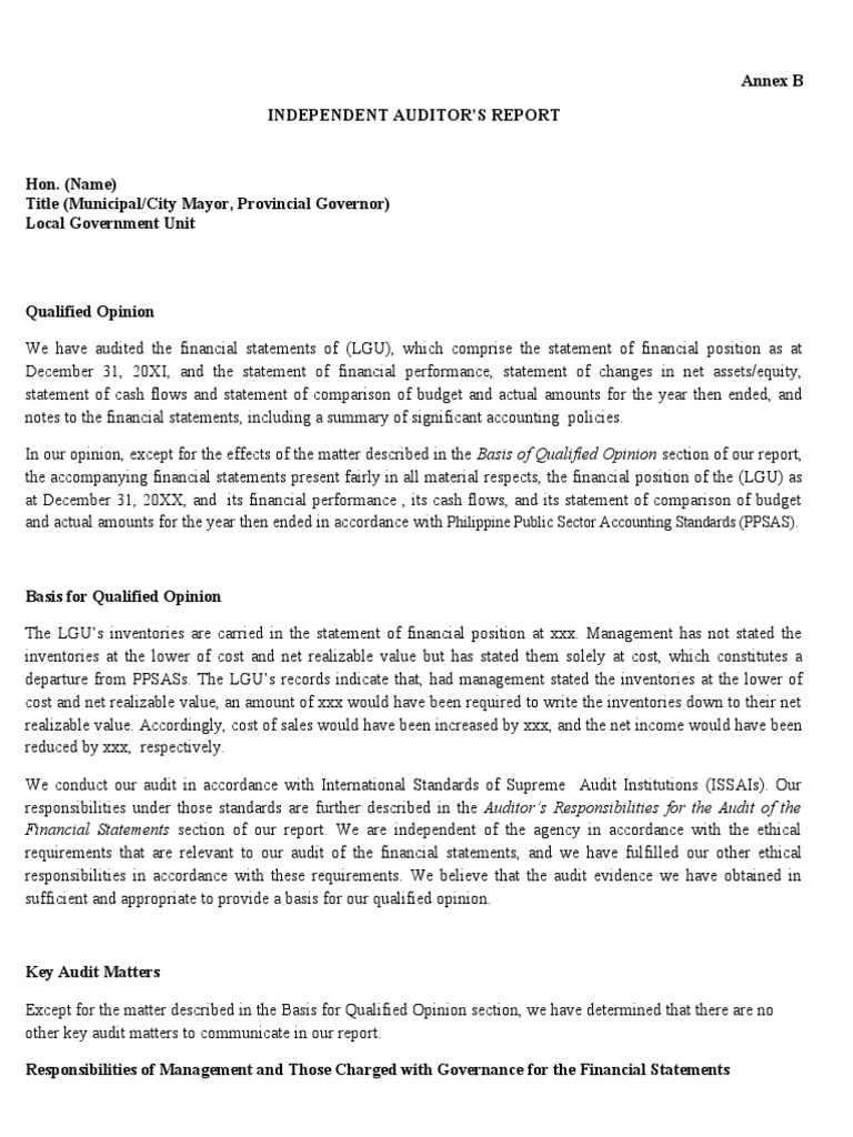 FORMAT-Revised IAR - Qualified | PDF | Audit | Financial Statement