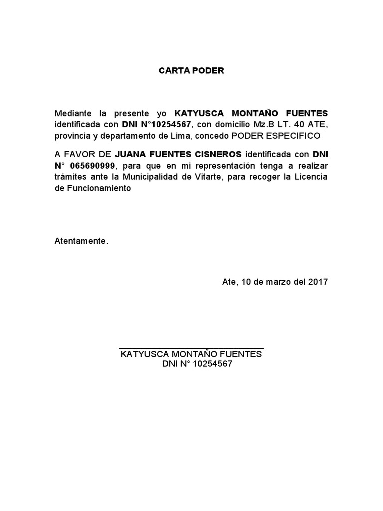 Carta Poder - Limitada | PDF