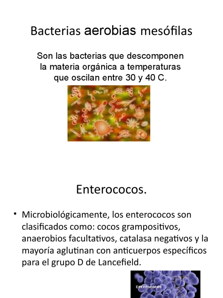 Bacterias Mesófilas | PDF