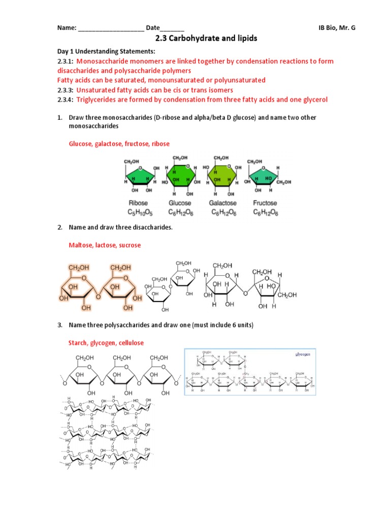 2.3 Carbohydrates and Lipids Assignment Key PDF | PDF | Fatty Acid ...
