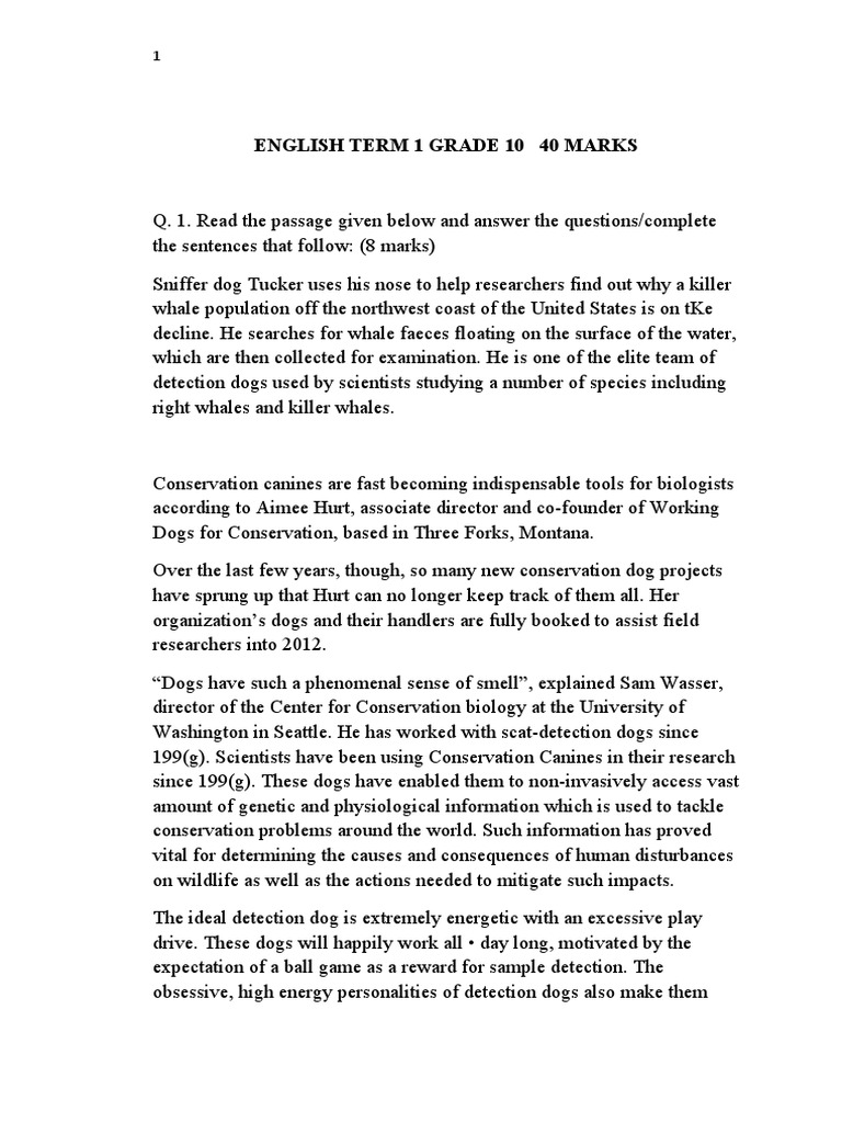 English Term 1 Grade 10 40 Marks | PDF | Dogs | Nature