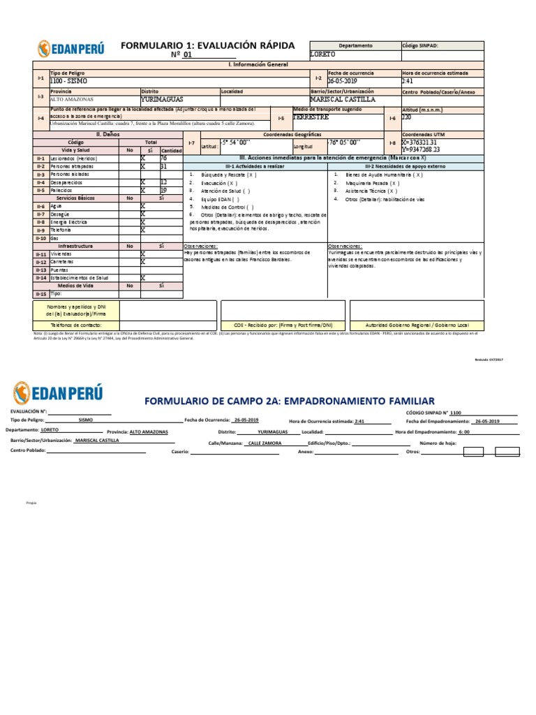 Formato Edan JSSQ | PDF | Naturaleza | Business