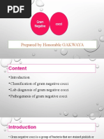 Gram Negative Cocci Flow Chart | PDF | Gram Negative Bacteria | Prokaryote
