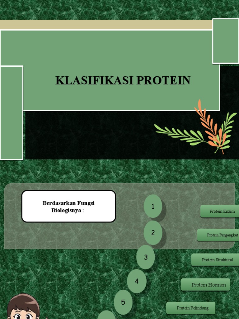 Klasifikasi Protein Berdasarkan Fungsi, Struktur, Sumber dan Asam Amino ...