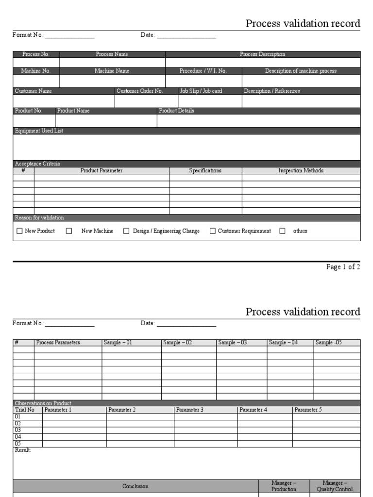 03 Process - Validation - Record | PDF