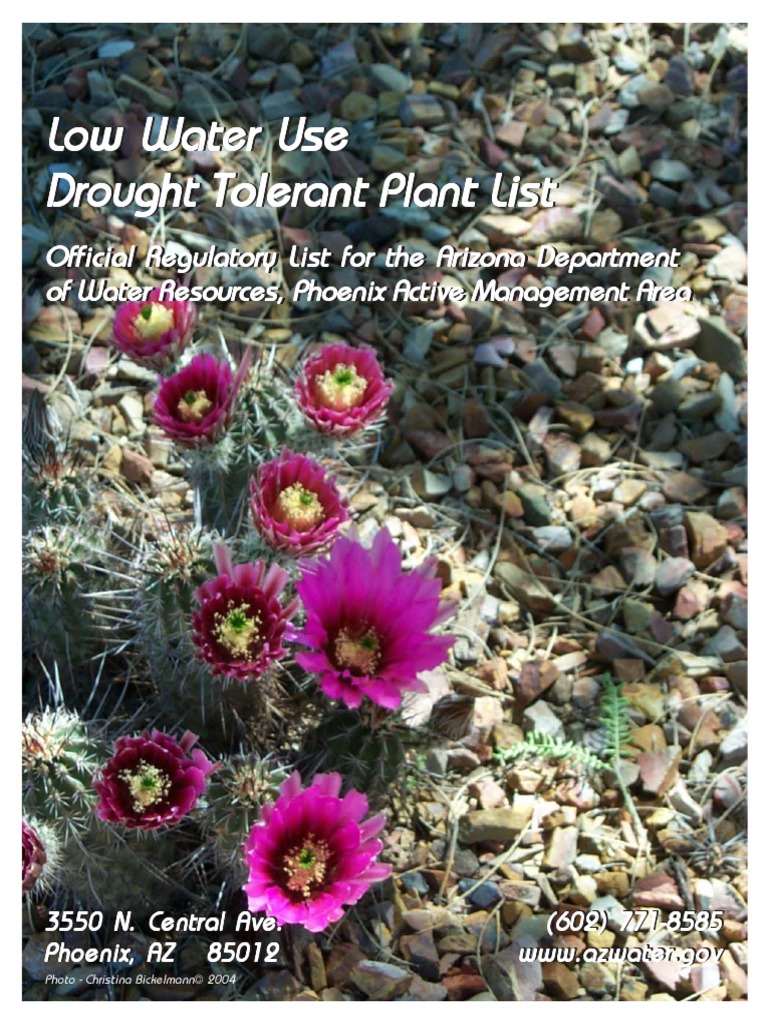 ADWR Low Water Use Plant Lists PDF | PDF | Flora | Garden Plants