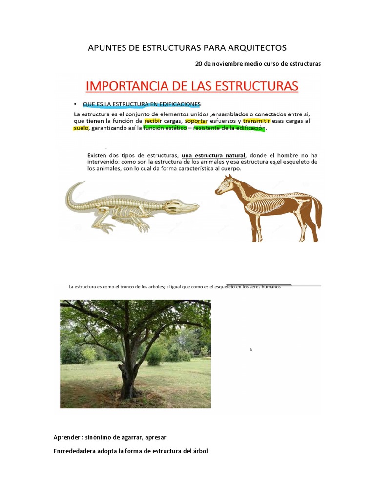 Apuntes de Estructuras para Arquitectos | PDF