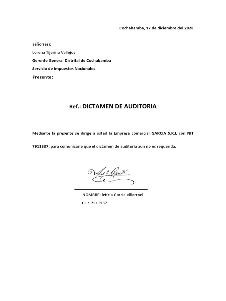 Carta Del Dictamen de Auditoria | PDF