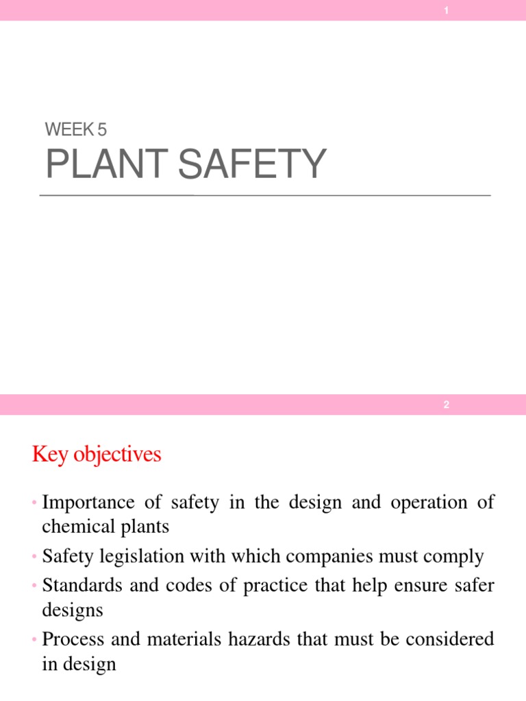 6 - Plant Safety | PDF | Safety | Combustion