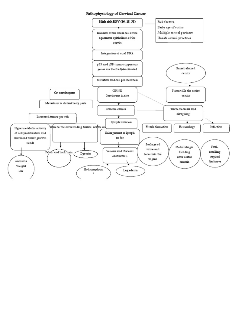 Pathophysiology of Cervical Cancer: High Risk HPV (16, 18, 31) | PDF ...