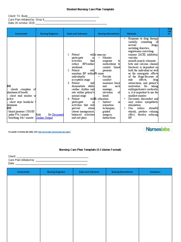 Student Nursing Care Plan Template: Eval Uati On | PDF | Diseases And ...