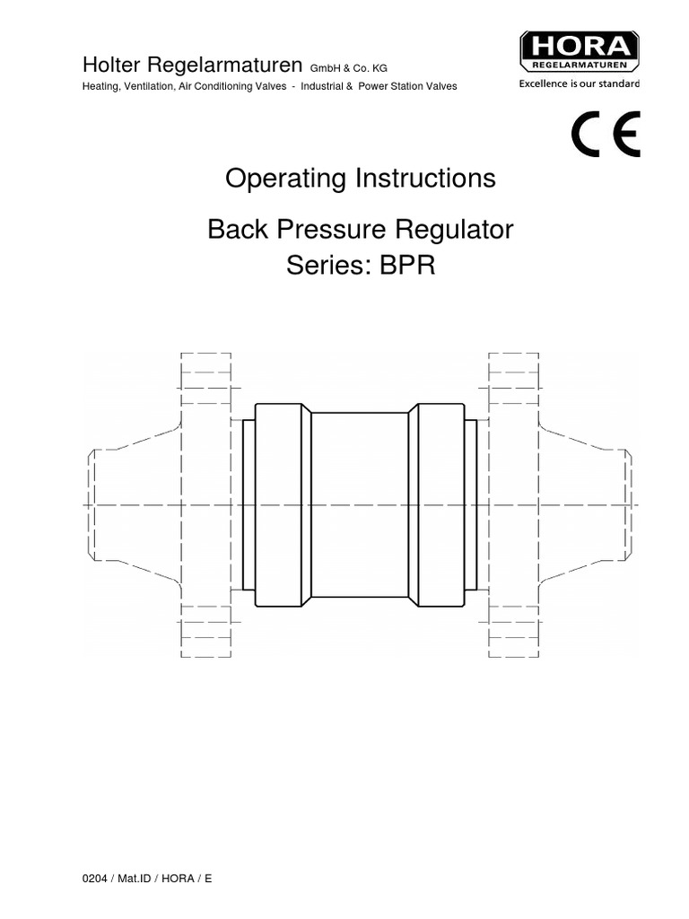 Operating Instructions Back Pressure Regulator Series: BPR: Holter ...