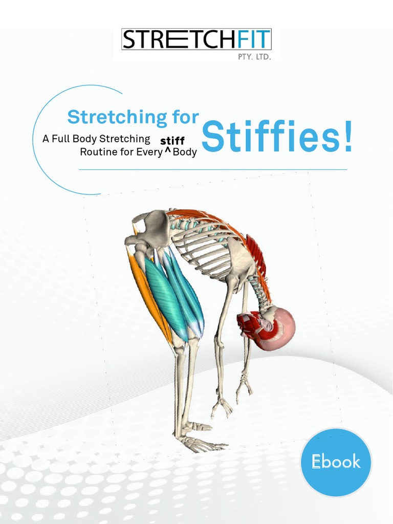 StretchFit Ebook V2 | PDF | Pelvis | Anatomical Terms Of Motion