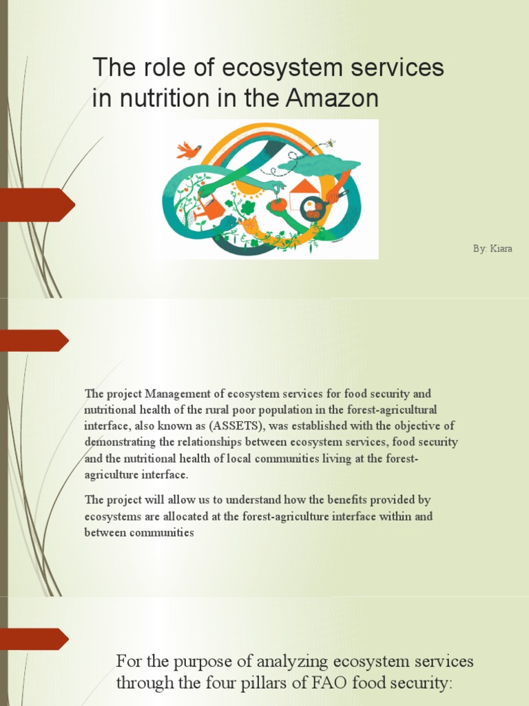 The Role of Ecosystem Services in Nutrition in The Amazon: By: Kiara ...
