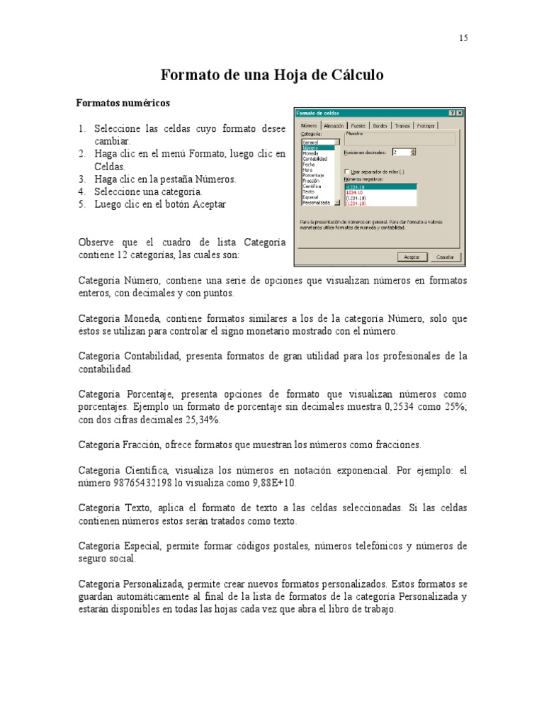Formatos de Celdas en Hoja de Cálculo | PDF | Hoja de cálculo | Informática