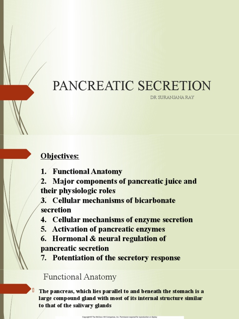 Pancreatic Secretion S | PDF | Pancreas | Trypsin
