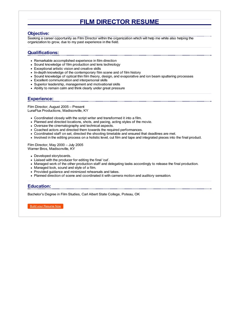 Film Director Resume | PDF | Art