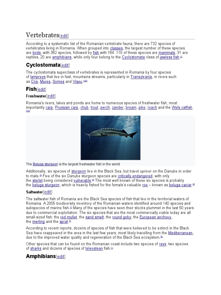 Fauna Romania | PDF | Fish | Introduced Species