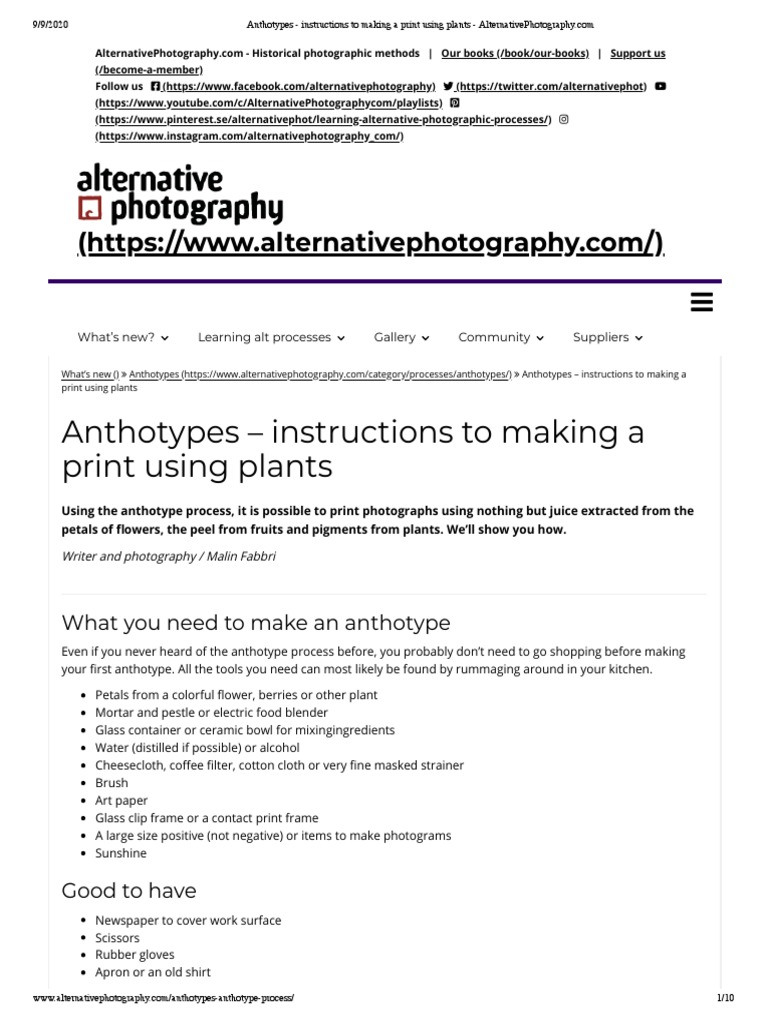 Anthotypes - Instructions To Making A Print Using Plants | PDF ...