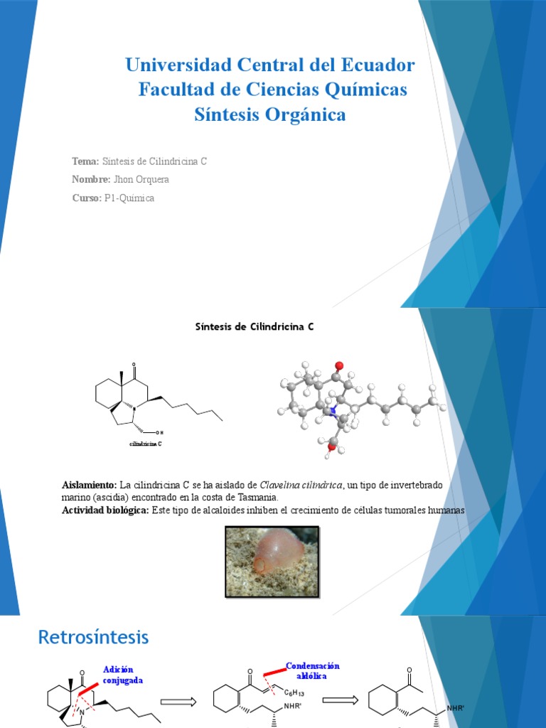 Síntesis Orgánica | PDF | Procesos Quimicos | Sustancias químicas