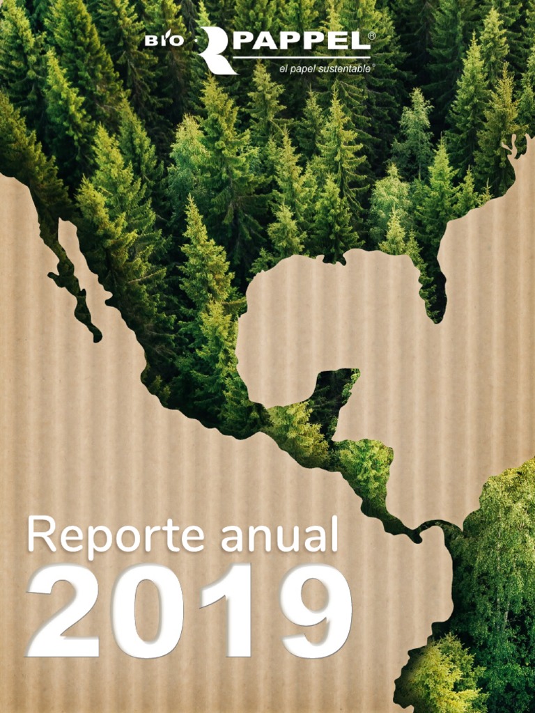 Bio Pappel Reporte Anual 2019 - VF | PDF | normas internacionales de ...