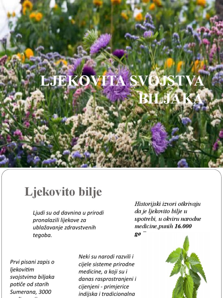 Ljekovita Svojstva Biljaka | PDF