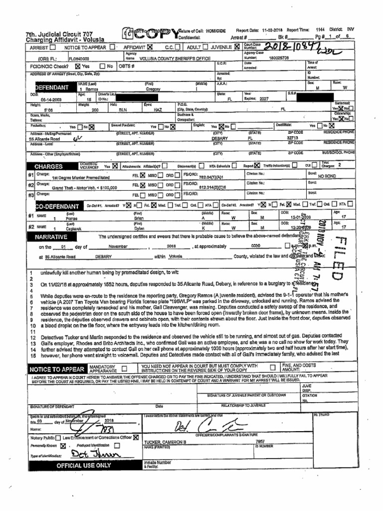 Gregory Ramos Charging Documents | PDF