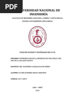 Bruno Metso | PDF | Simulación | Software