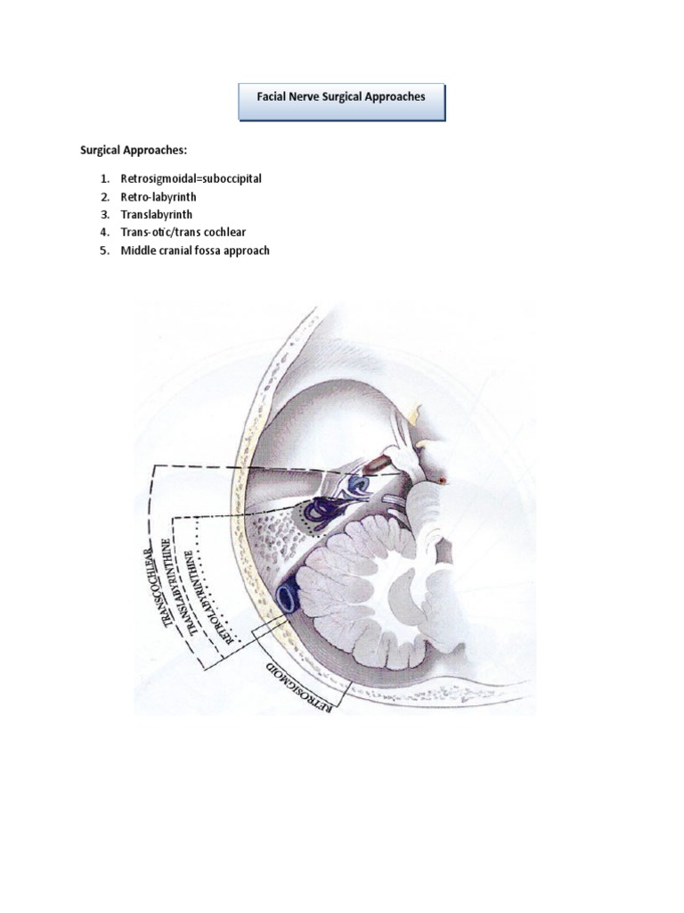 Facial Nerve Surgical Approaches | PDF | Foreign Language Studies